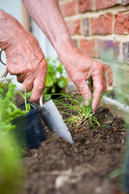 Anness Publishing | Mark Winwood Photography